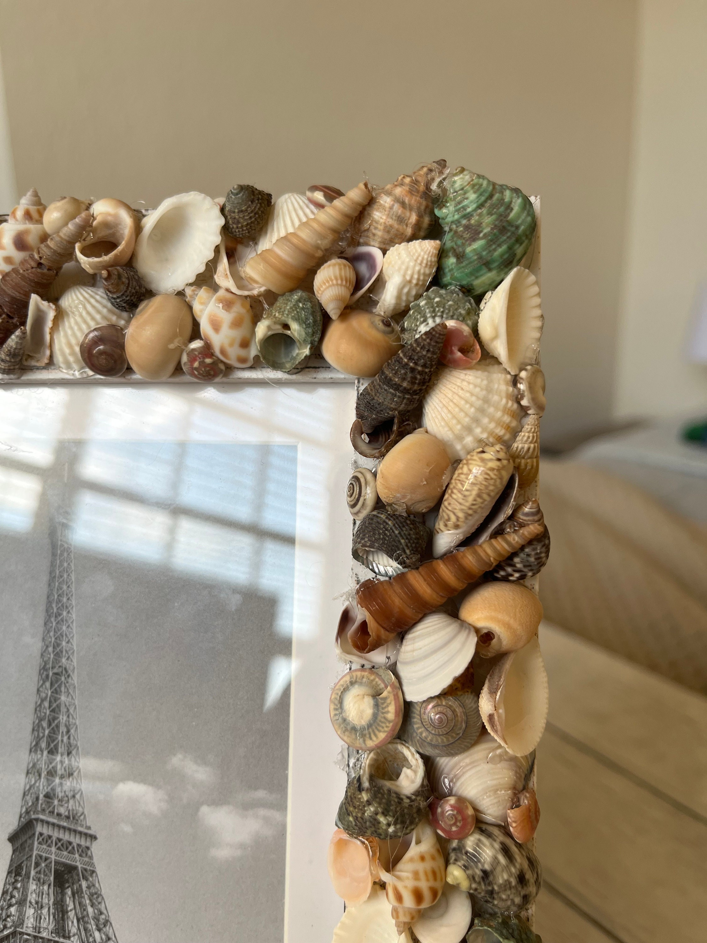 Beach Decor Seashell Frame, Coastal Picture Frame, Great Wedding Gift ...