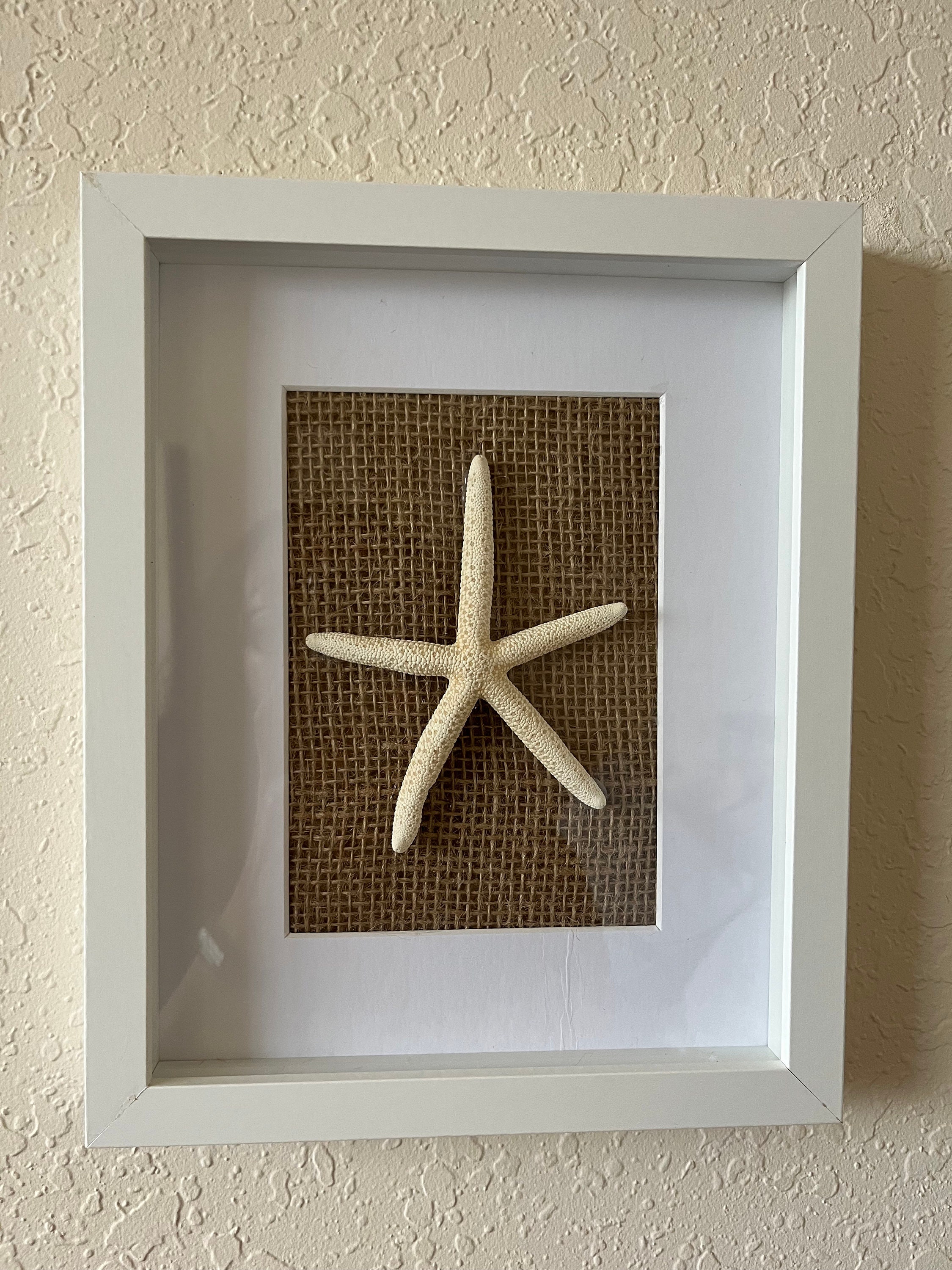 Starfish, 8"x10" Starfish Shadowbox Frame in White With Burlap ...