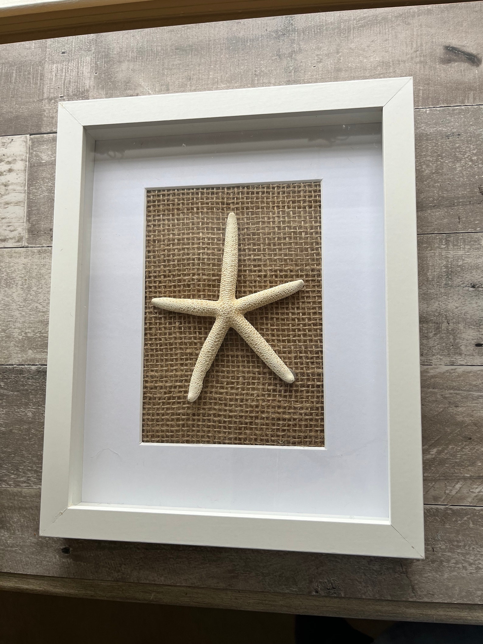 Starfish, 8"x10" Starfish Shadowbox Frame in White With Burlap ...