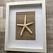 Starfish, 8"x10" Starfish Shadowbox Frame in White With Burlap ...
