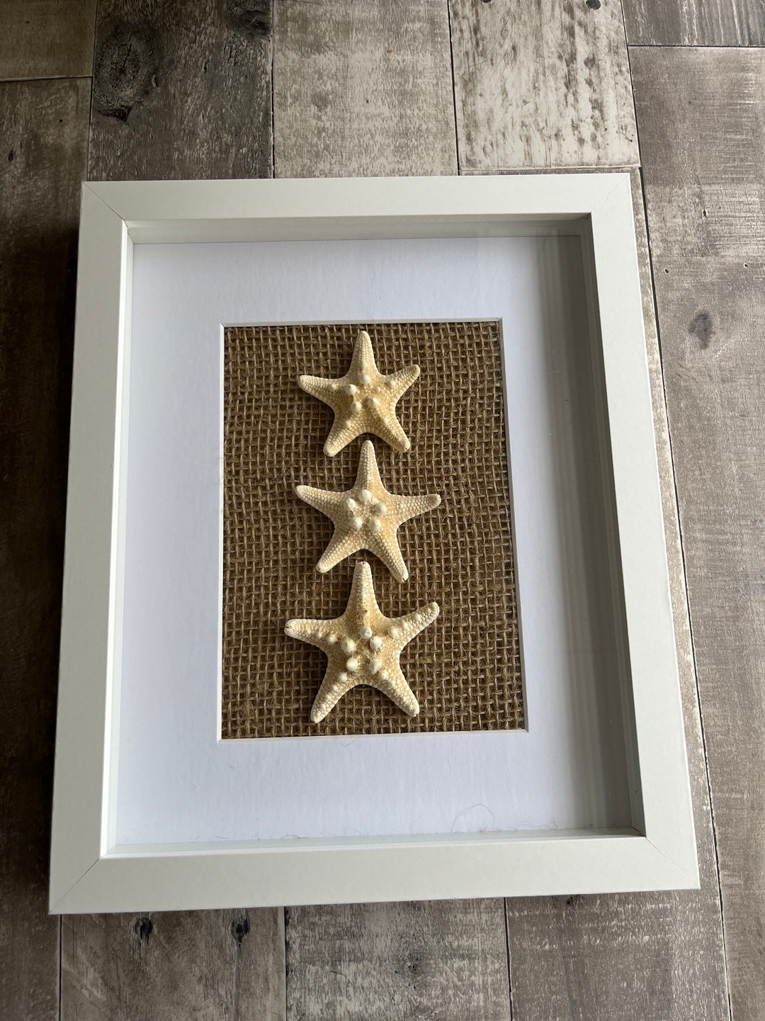 Starfish, 8"x10" Starfish (row of 3) in Shadowbox Frame With Burlap ...