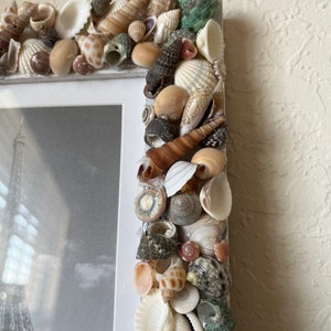 Beach Decor Seashell Frame, Coastal Picture Frame, Great Wedding Gift ...