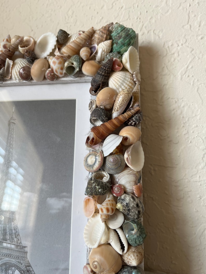 Beach Decor Seashell Frame, Coastal Picture Frame, Great Wedding Gift ...