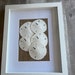 Sand Dollar, 8"x10" Sand Dollars in Shadowbox Frame With Burlap ...