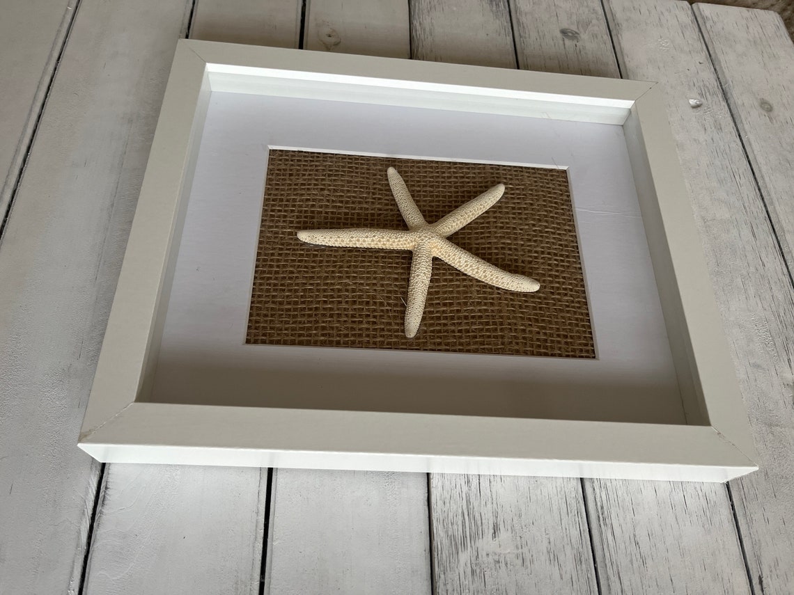 Starfish, 8"x10" Starfish Shadowbox Frame in White With Burlap ...