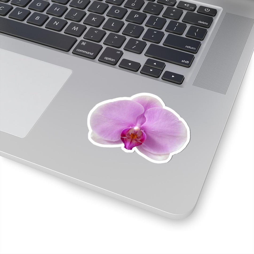 Pink Orchid Sticker | Purple Orchid Sticker | Large Orchid Sticker ...