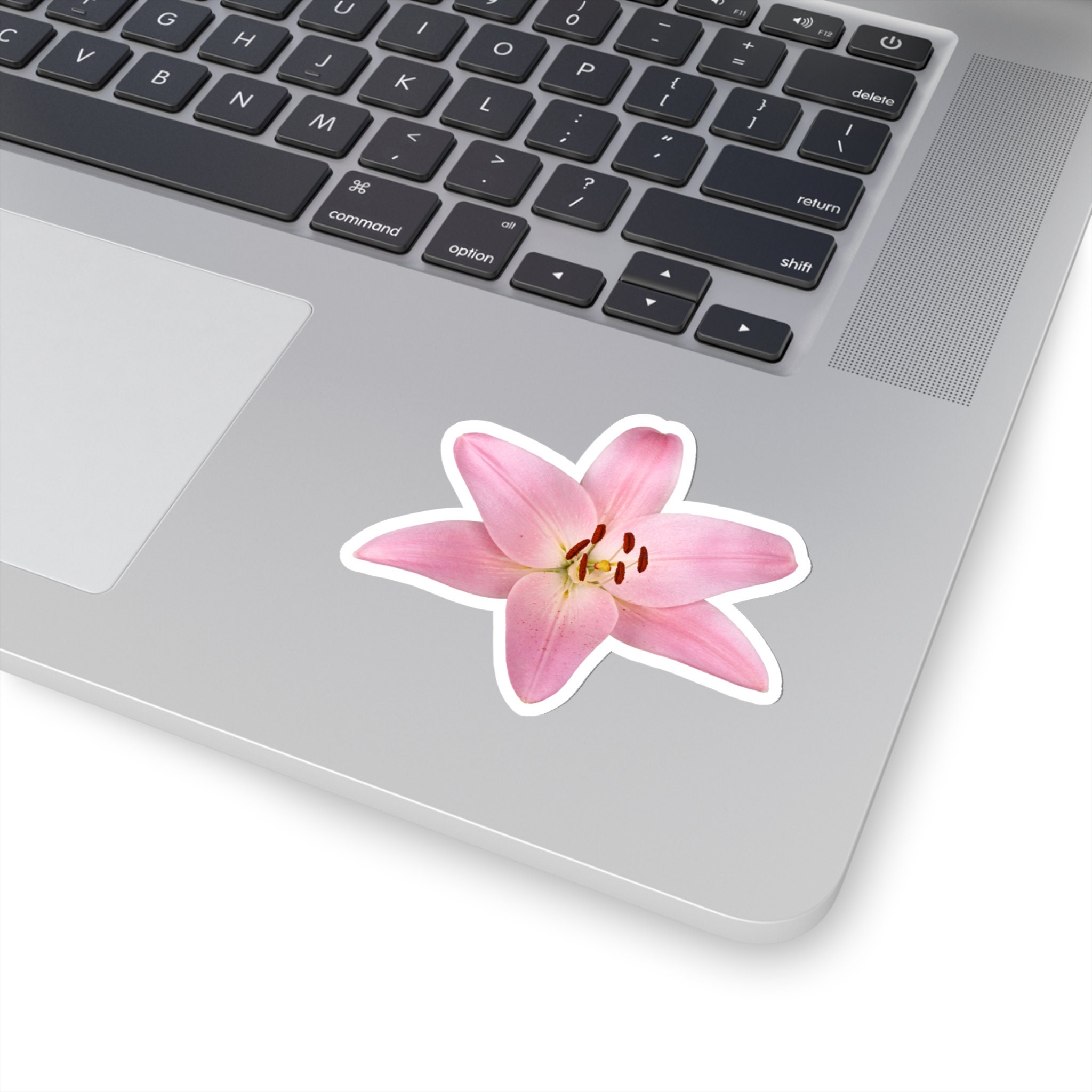 Pink Lily Sticker | Large Lily Sticker | Gardening Gift | Gardening ...