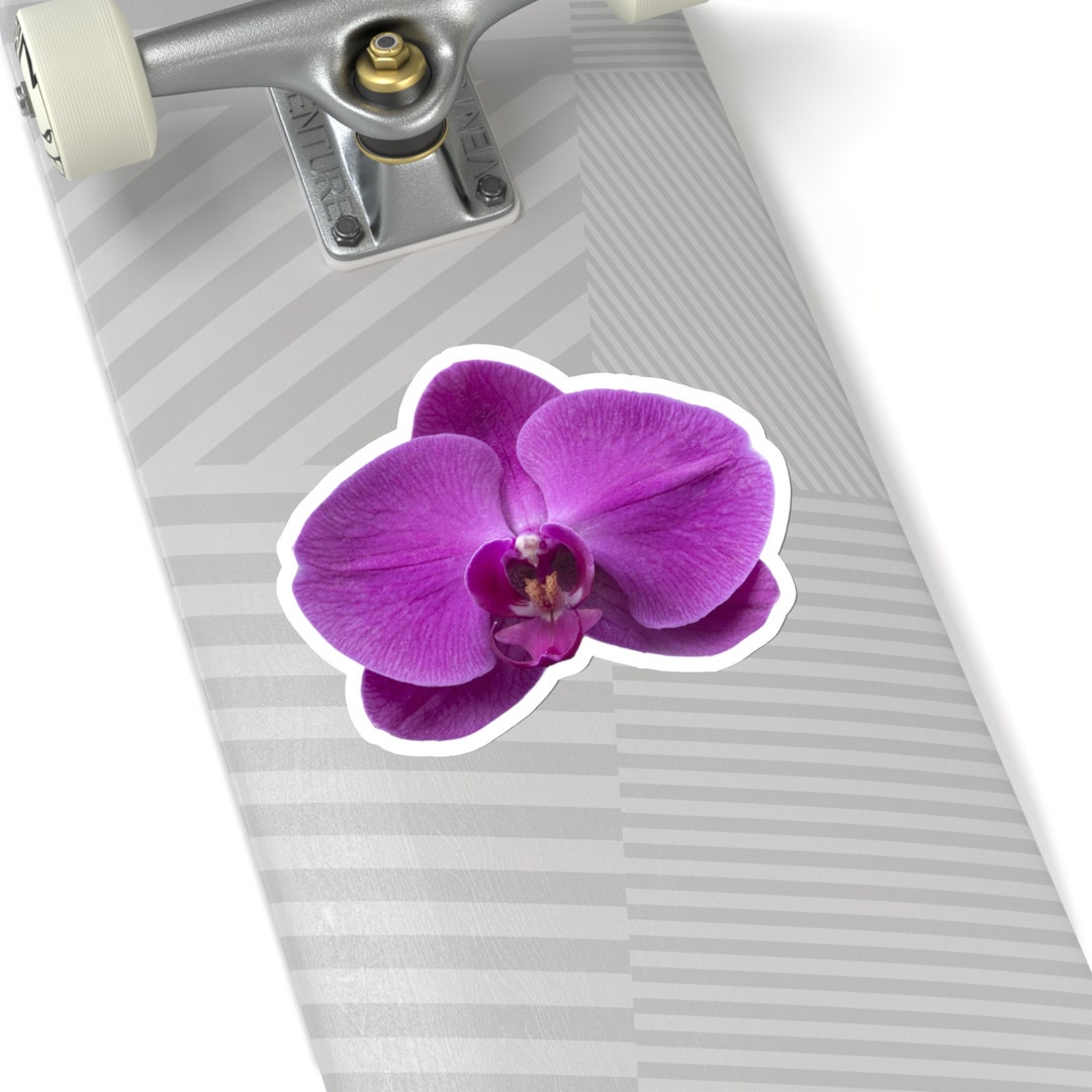 Pink Orchid Sticker | Purple Orchid Sticker | Large Orchid Sticker ...