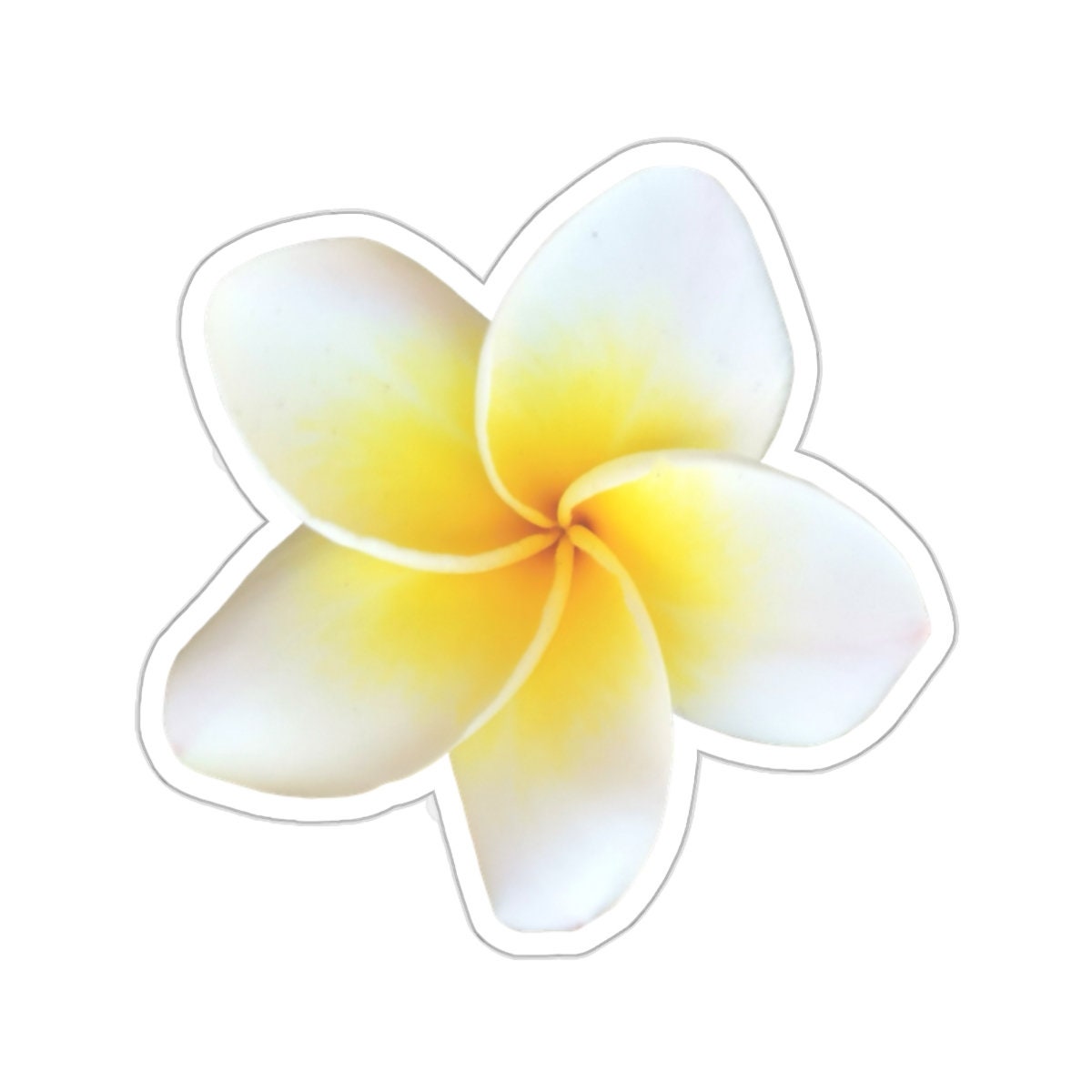 White Plumeria Sticker | Large Plumeria Sticker | Gardening Gift ...