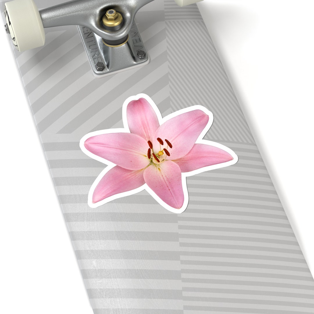 Pink Lily Sticker | Large Lily Sticker | Gardening Gift | Gardening ...