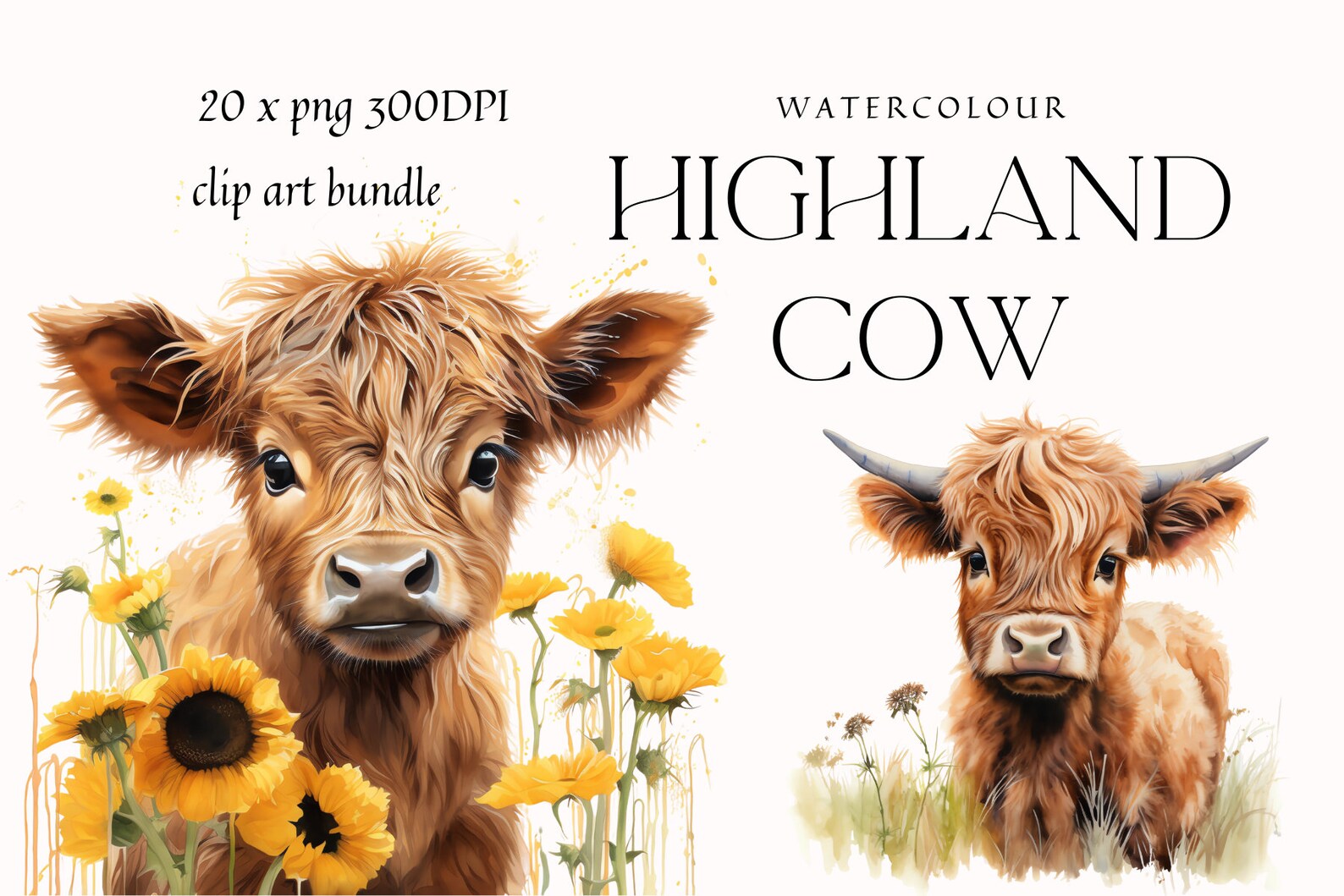 Highland Cow Clipart,watercolor,baby Animals, Baby Shower Decor ...