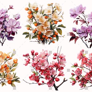 Tree Blossoms Clip Art, Watercolor Floral Branches, Cherry Blossoms ...