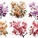 Tree Blossoms Clip Art, Watercolor Floral Branches, Cherry Blossoms ...