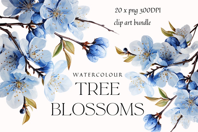 Tree Blossoms Clip Art, Watercolor Floral Branches, Cherry Blossoms ...