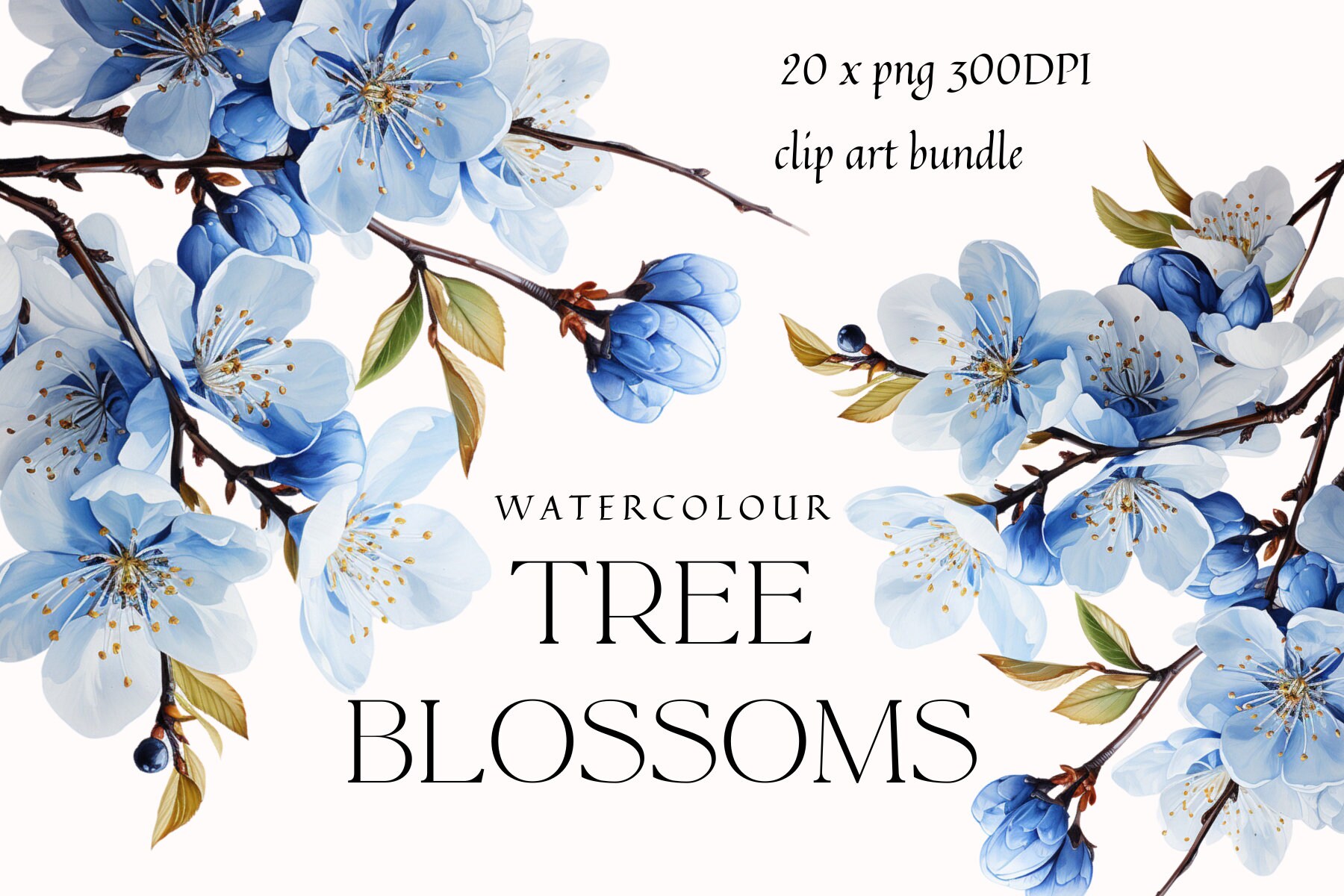 Tree Blossoms Clip Art, Watercolor Floral Branches, Cherry Blossoms ...