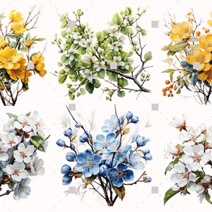 Tree Blossoms Clip Art, Watercolor Floral Branches, Cherry Blossoms ...