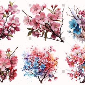 Tree Blossoms Clip Art, Watercolor Floral Branches, Cherry Blossoms ...