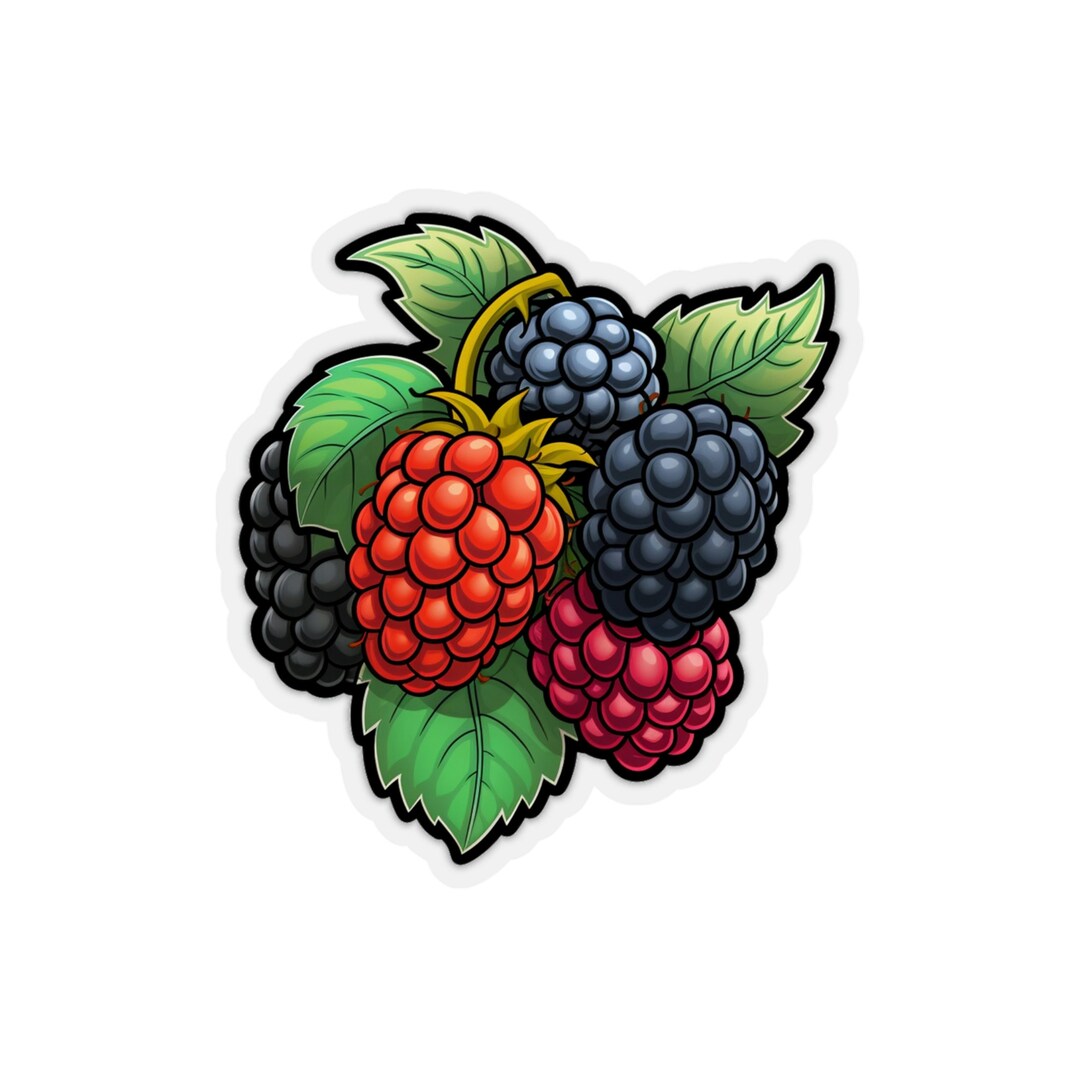 Raspberries Sticker - Etsy