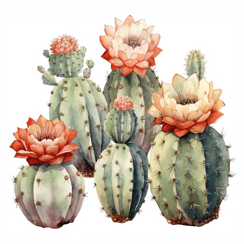 Midjourney Prompt Short Cactus Plants, Watercolor Style - Etsy