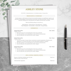 ATS Friendly Resume Template for MS Word, Pages, One Column Resume ...