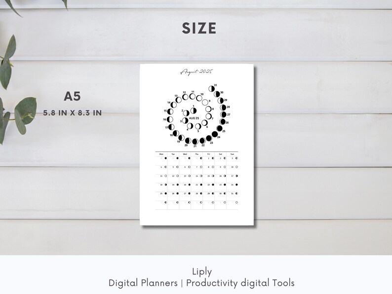 2025 Moon Phases Calendar Printable - Lunar Cycle Tracker PDF - Monthly Moon Calendar A5 - Lunar ...