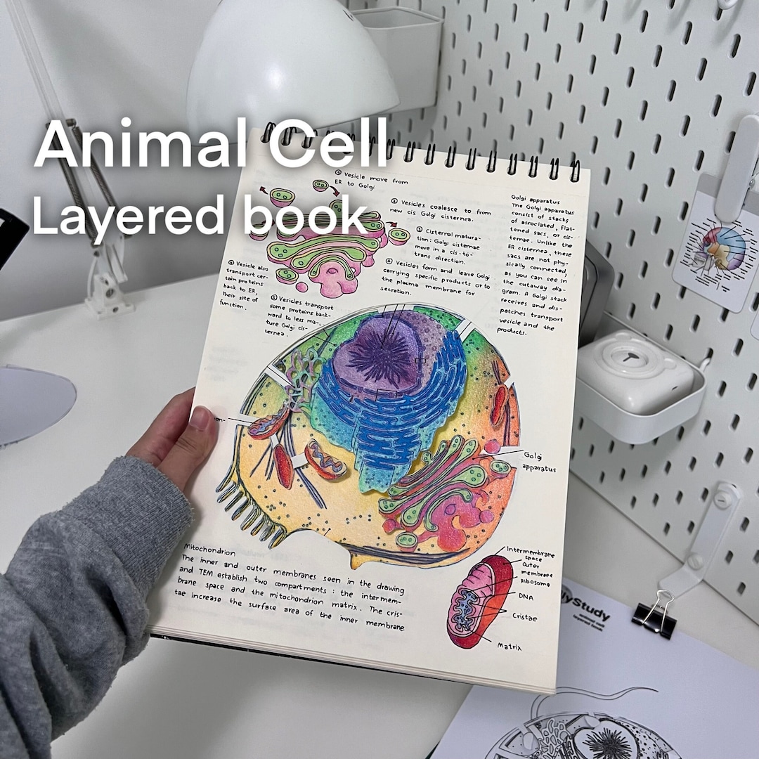 Animal Cell Layered Book by Gillystudy - Etsy