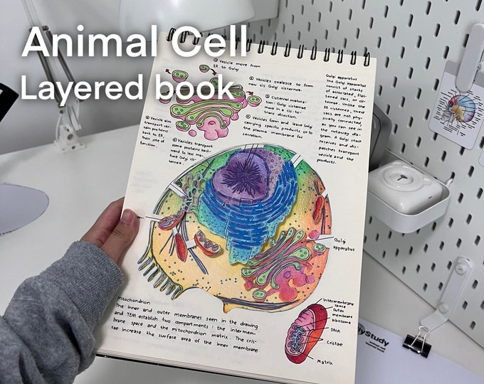 EDUCATIONAL- Animal Cell Poster - Etsy