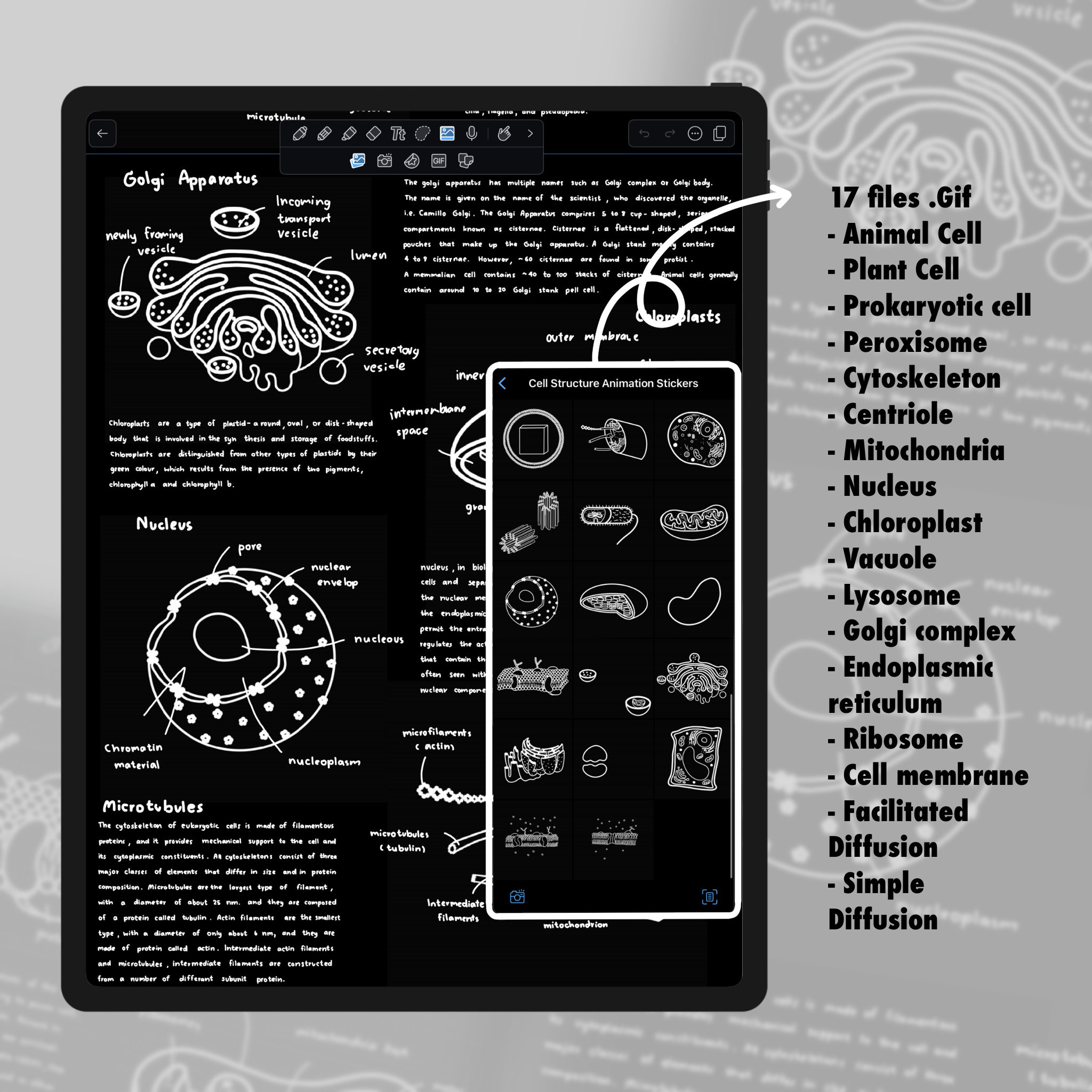 Cell Animation Stickers , Digital Stickers , Cell Structure by ...