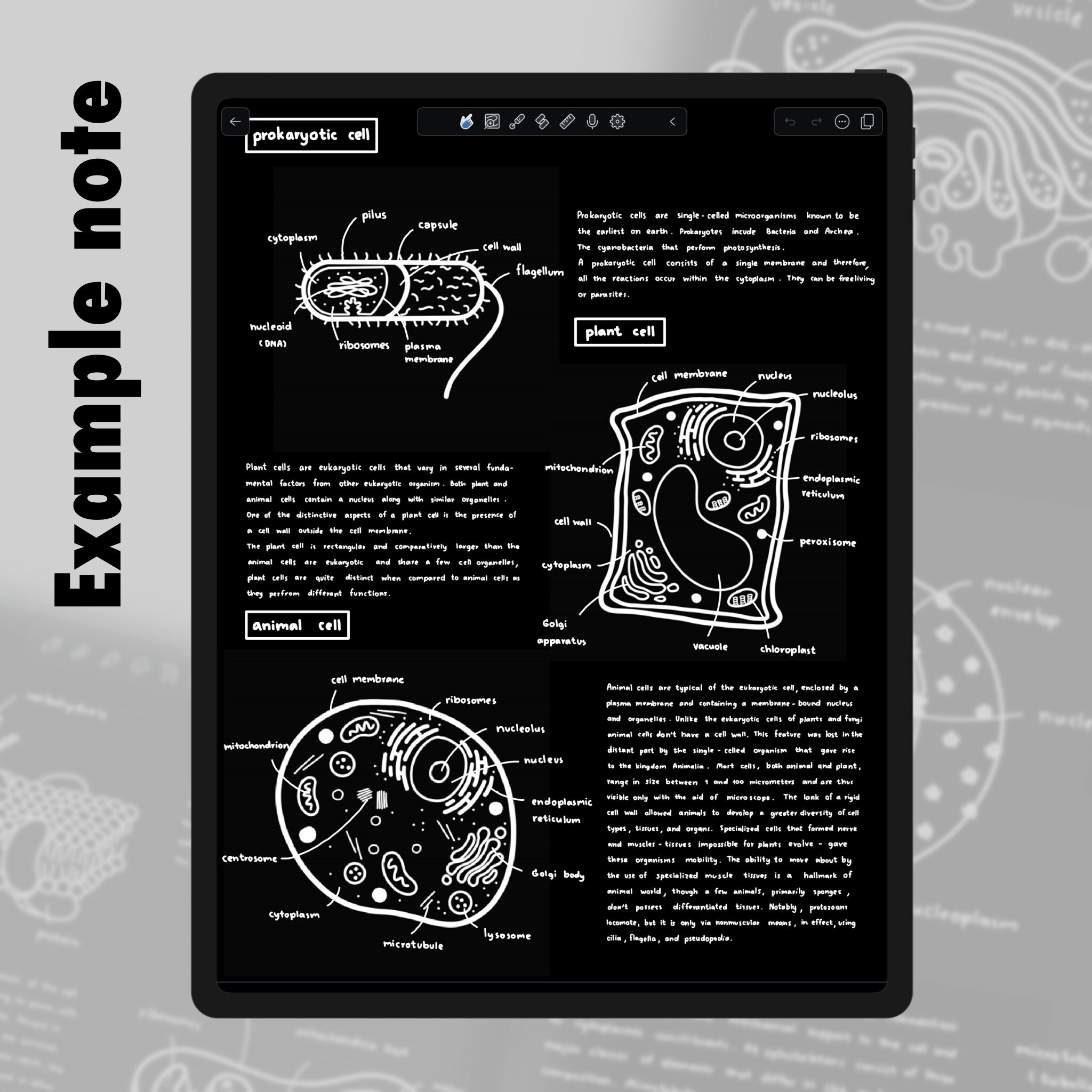 Cell Animation Stickers , Digital Stickers , Cell Structure by ...