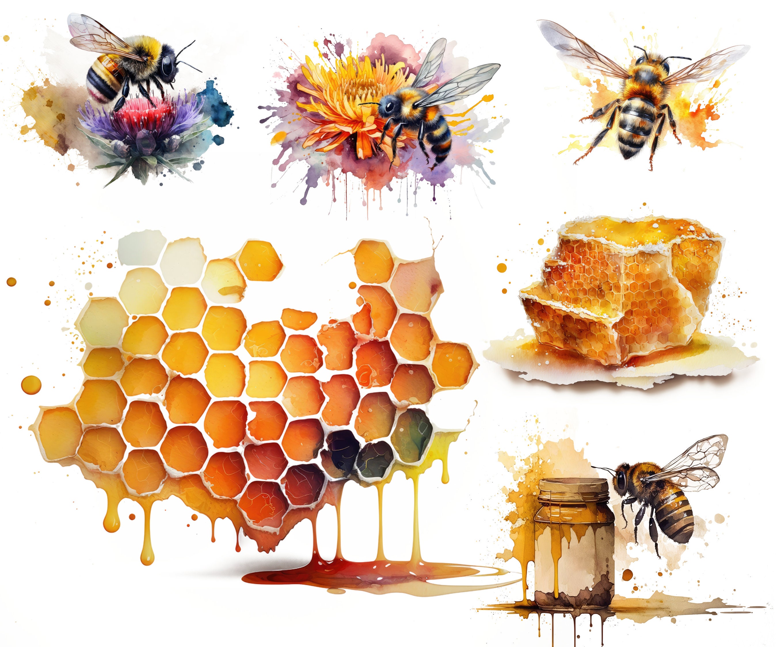 Watercolor Honey Bee Clipart Bundle Illustration Honey Bees - Etsy