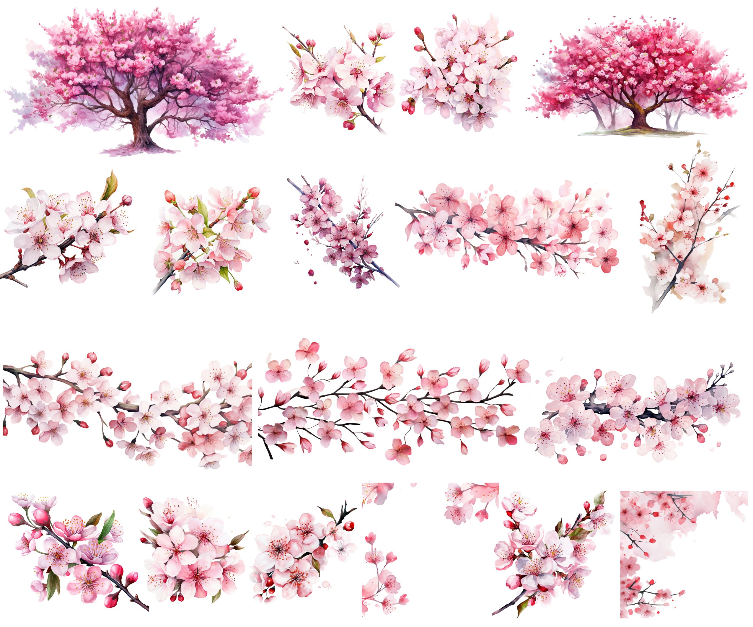 Cherry Blossom, Sakura, Floral, Branches, Spring, Flower, Digital ...