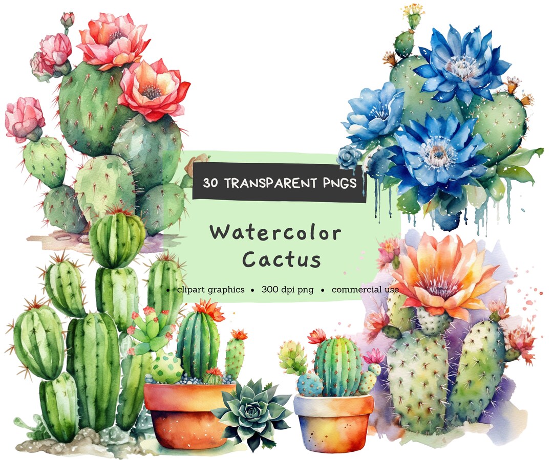 Watercolor Cactus Clipart, Succulent, Digital Pintables, Summer, Bundle ...