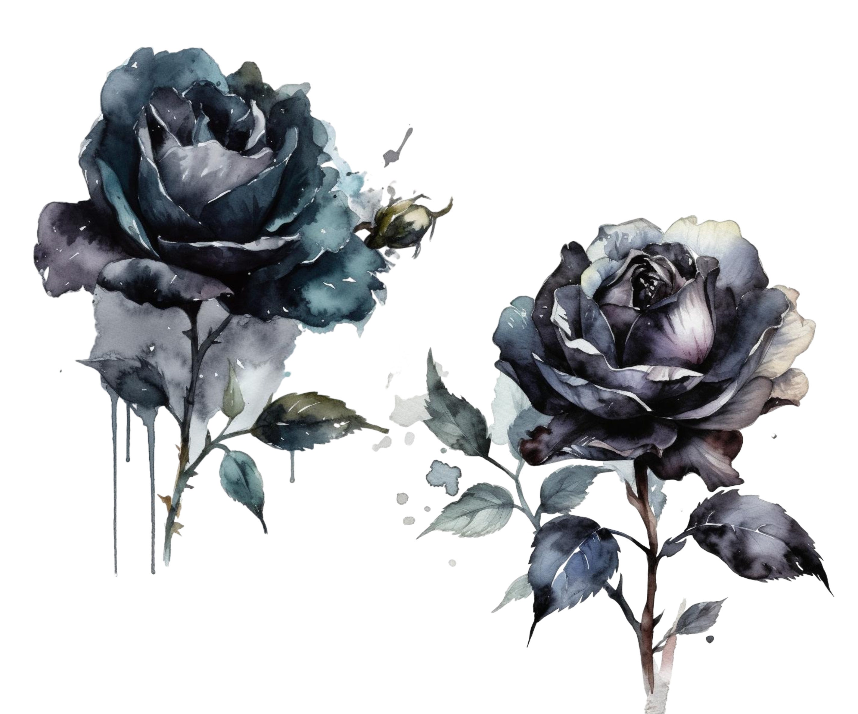 38 Watercolor Floral Black Roses Clipart Fall Flowers Floral - Etsy