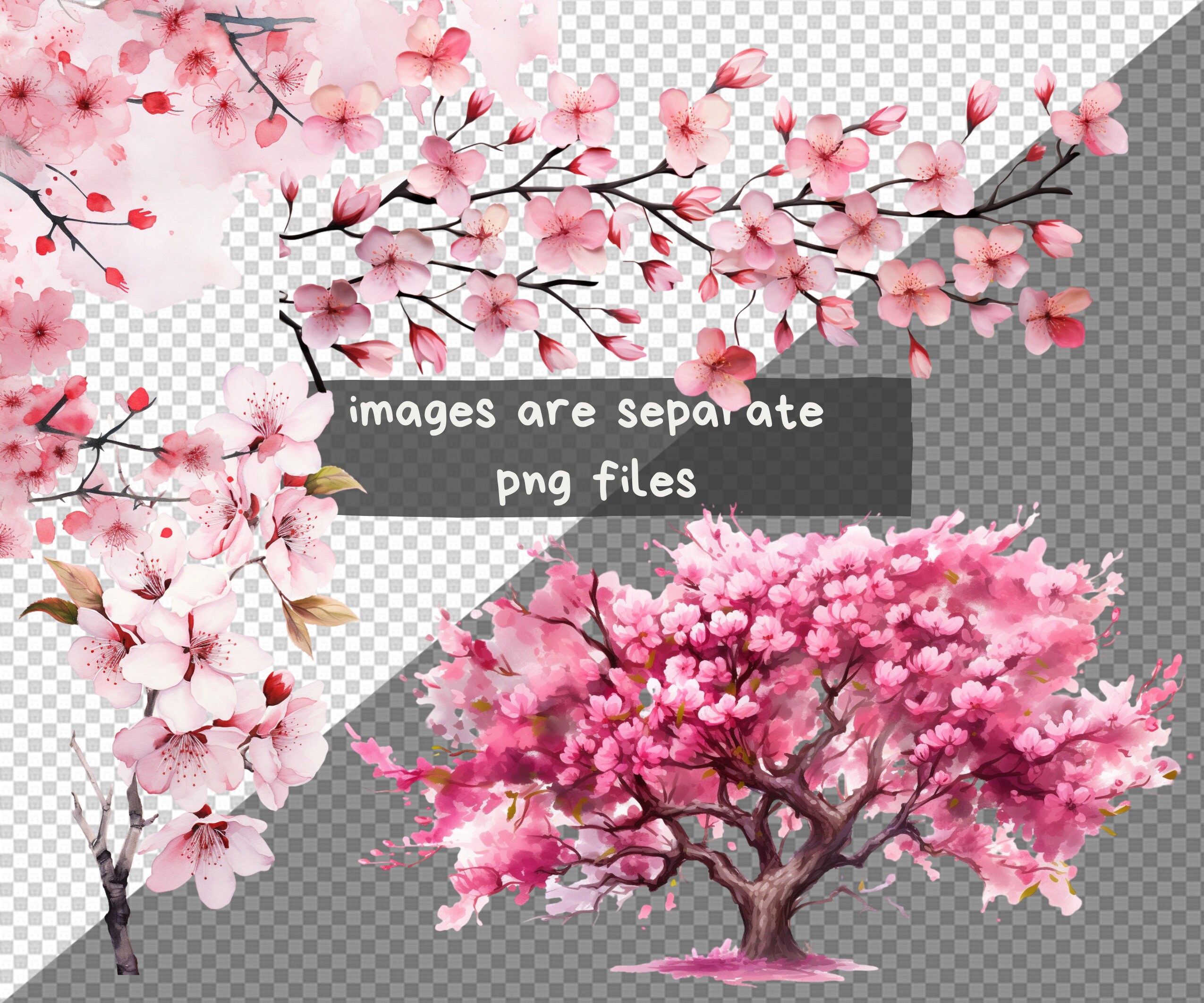 Cherry Blossom, Sakura, Floral, Branches, Spring, Flower, Digital ...