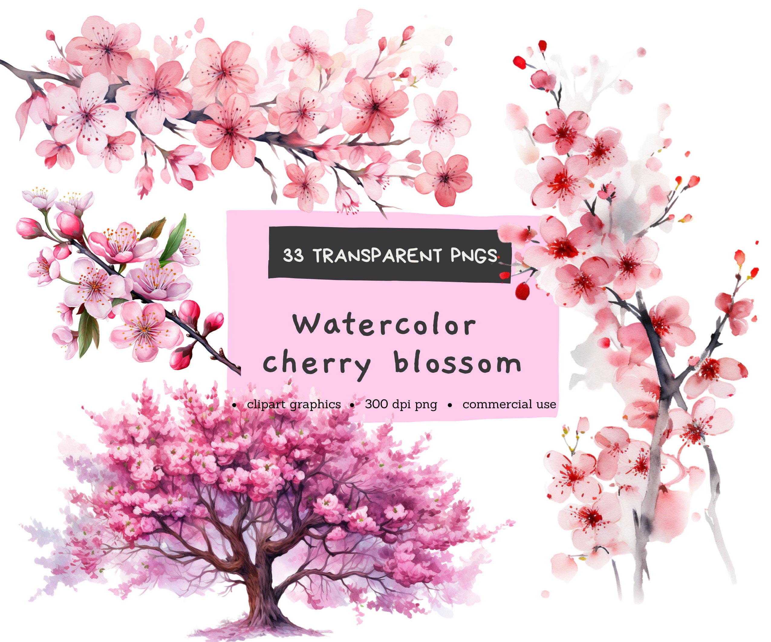 Cherry Blossom, Sakura, Floral, Branches, Spring, Flower, Digital ...