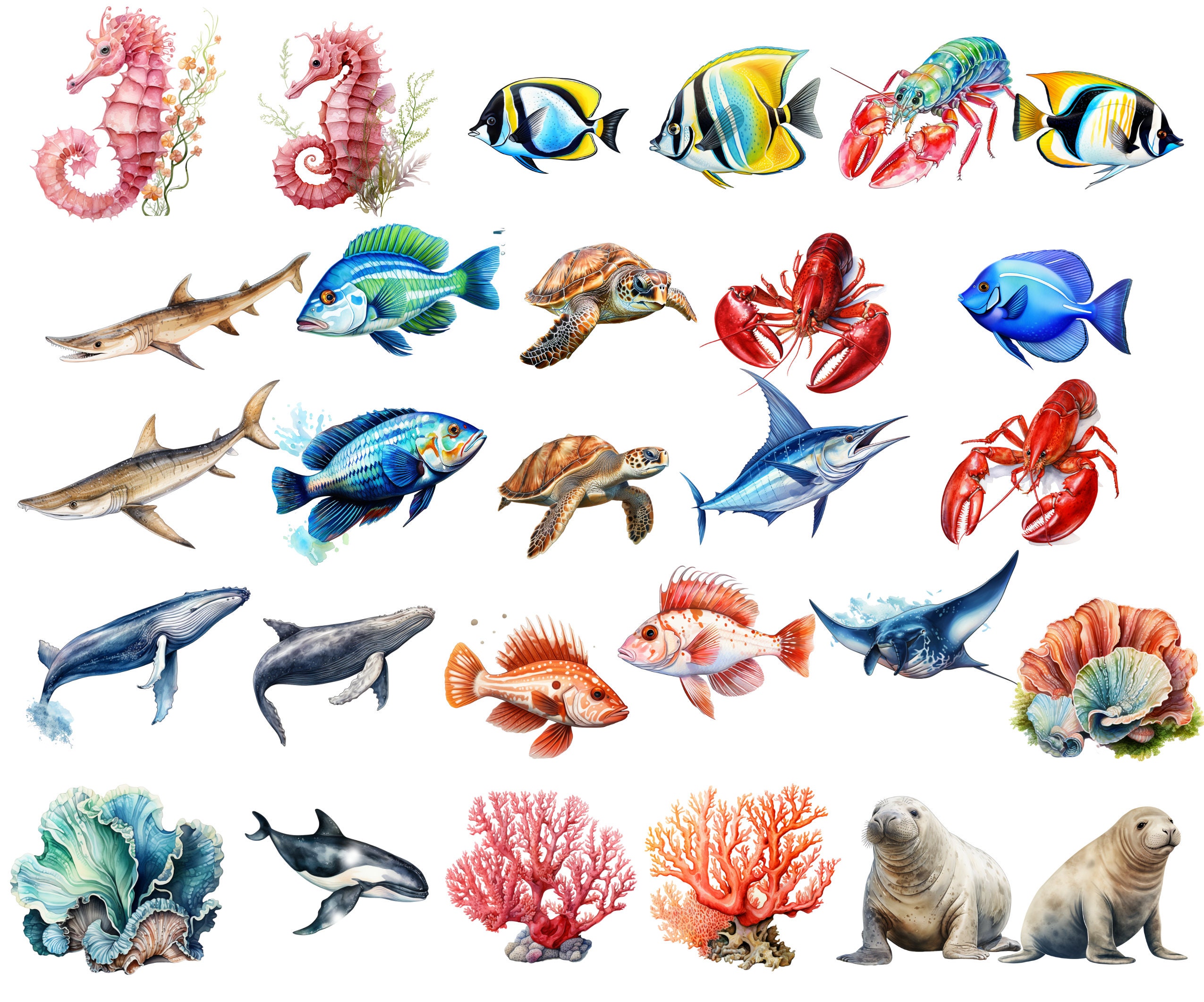Sea Animals Nursery Marine Life Sealife Ocean Digital - Etsy