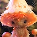 A Collection of 21 Colorful Magical Surreal Mushrooms. Deep - Etsy