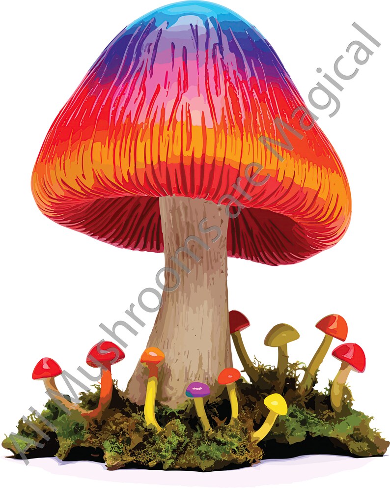 Rainbow Mushrooms Clipart - a Bundle of 40 Rainbow-themed Mushroom ...