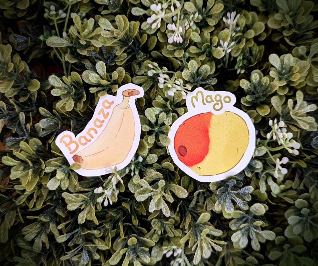 Funny Fruit Stickers // Misspelled Fruit Stickers // Matte Stickers ...