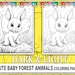 40 Cute Baby Forest Wild Animals Coloring Pages. Woodland Animals ...