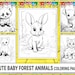 40 Cute Baby Forest Wild Animals Coloring Pages. Woodland Animals ...