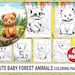 40 Cute Baby Forest Wild Animals Coloring Pages. Woodland Animals ...