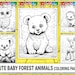 40 Cute Baby Forest Wild Animals Coloring Pages. Woodland Animals ...