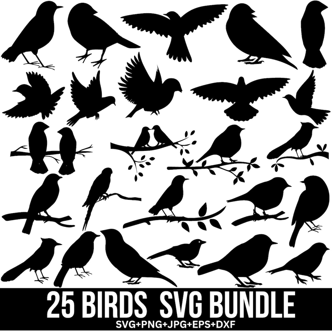 Bird Svg Bundle, Flying Bird Svg, Birds on Branches Svg, Sparrow Svg ...