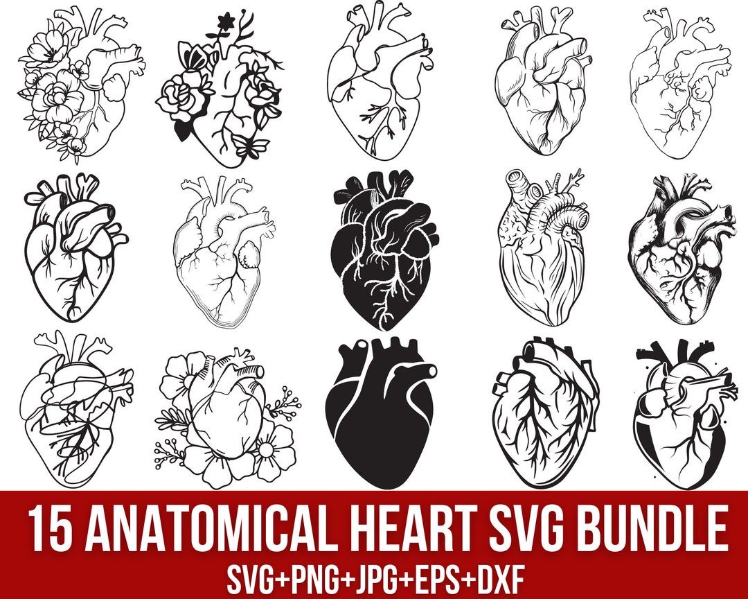 Anatomical Heart Svg Bundle, Flower Heart Svg, Heart Svg, Human Heart ...