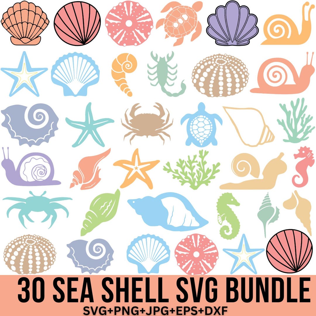 Seashell Svg Bundle, Seashell Png, Sea World Svg, Shell Svg, Starfish ...