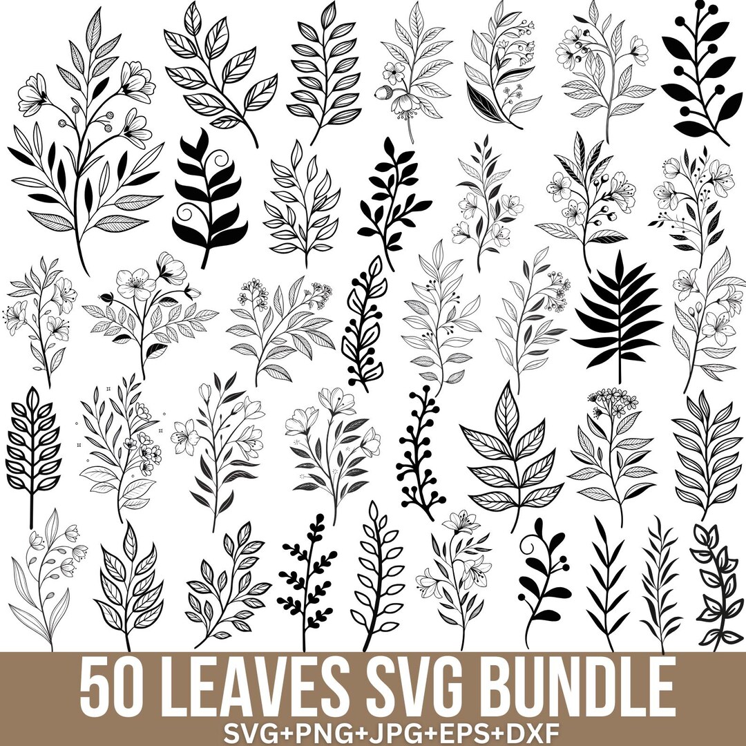 Leaves Svg Bundle, Leaf Svg, Branch Svg, Hand Drawn Leaves Svg, Plant ...