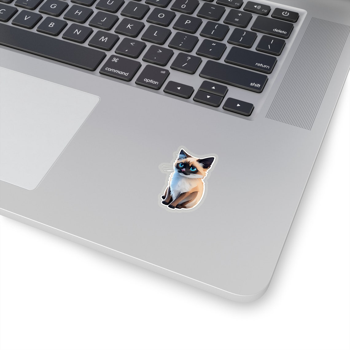 Cute Cat Sticker Pack 10 Printable Digital Clipart - Etsy