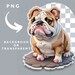Cute Dog Clipart Printable Digital Stickers Pack, Commercial Use, PNG ...