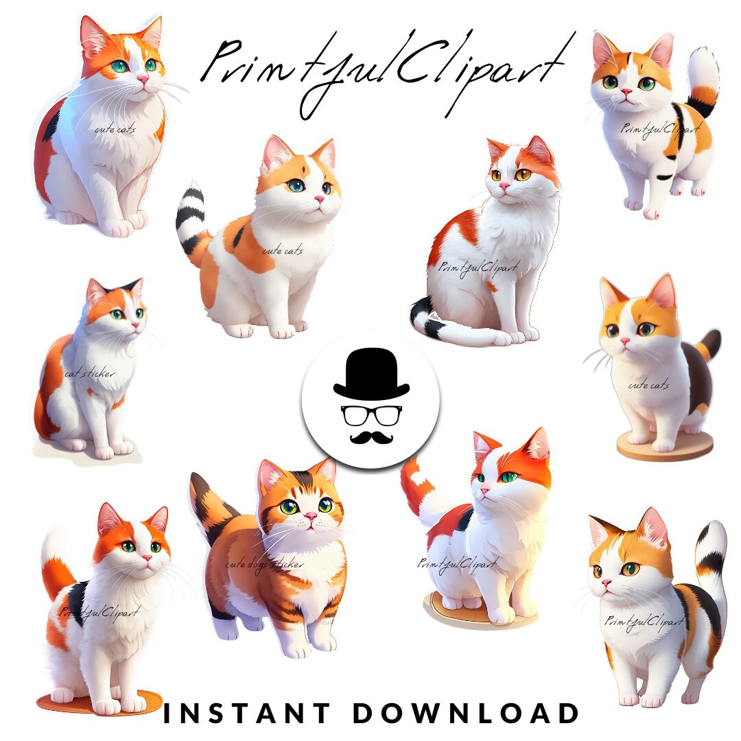 Cute Cat Clipart Pack Printable Digital Clipart Commercial - Etsy